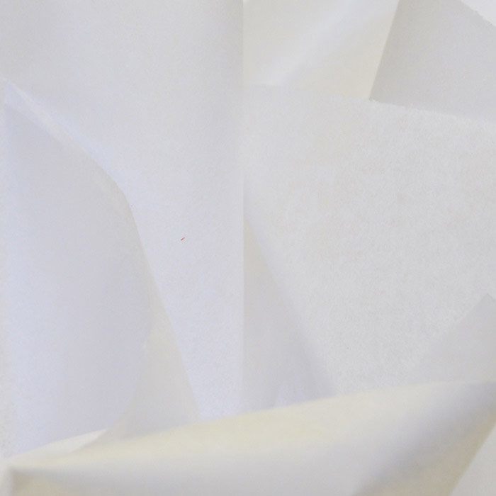White Gift Tissue Paper | Gems on Display