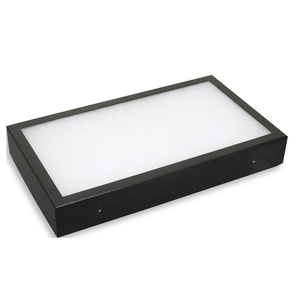 Glass Top Riker Mount Display Box 14" x 8" x 2" | Gems On Display
